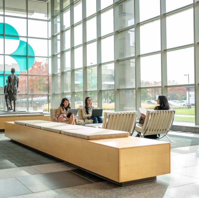 Onboarding HR - MSD | Argentina